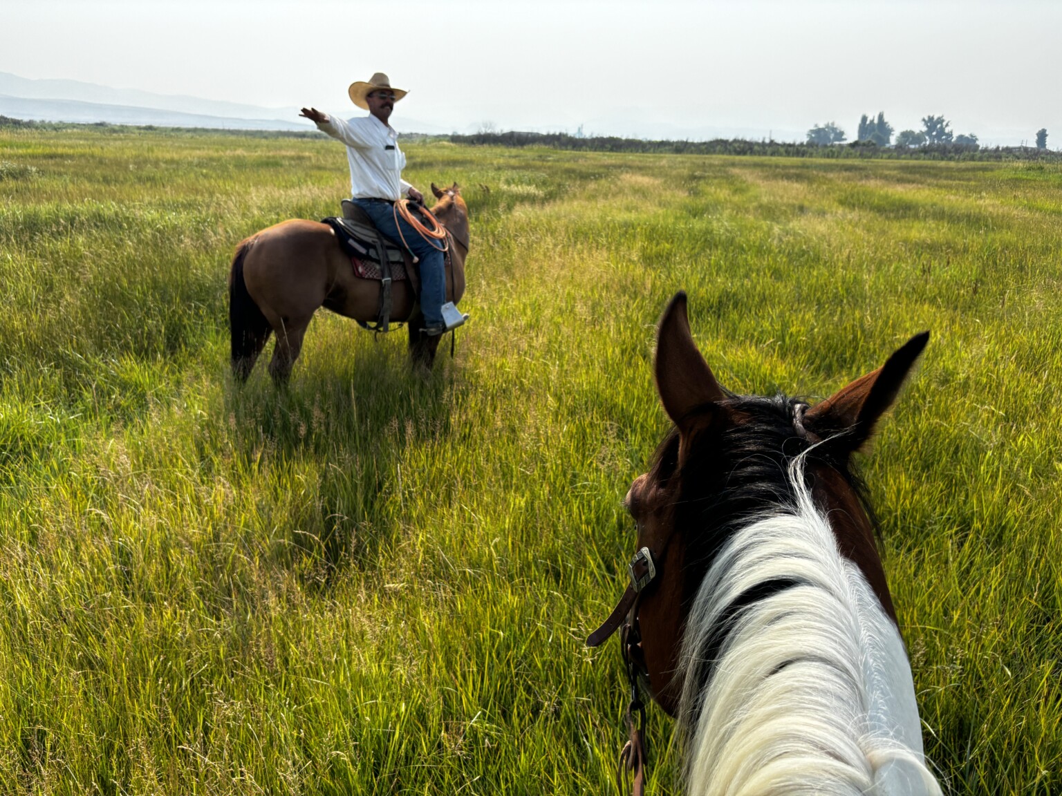 Weed Surveys – Oregon Desert Land Trust